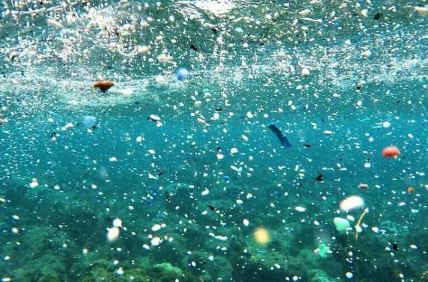 Microplásticos: “Tenemos un mar que se equipara a los más contaminados ...