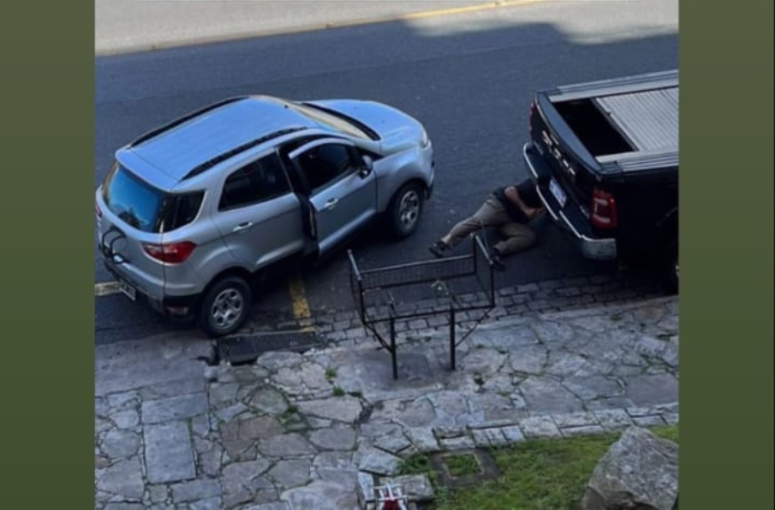 El Marplatense | Mi lugar. Mis contenidos.