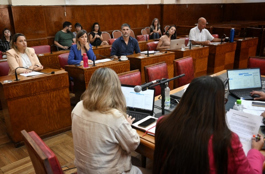 Afirman Que La Ordenanza Para Elegir Al Nuevo Defensor Del Pueblo Es